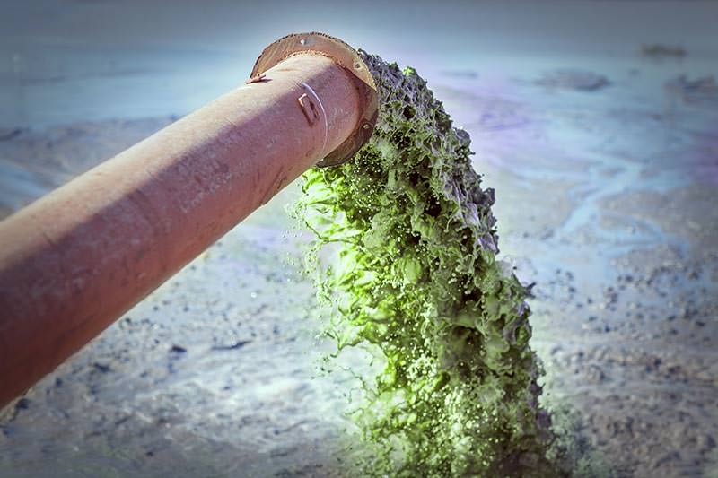 Waste Management - Far Water